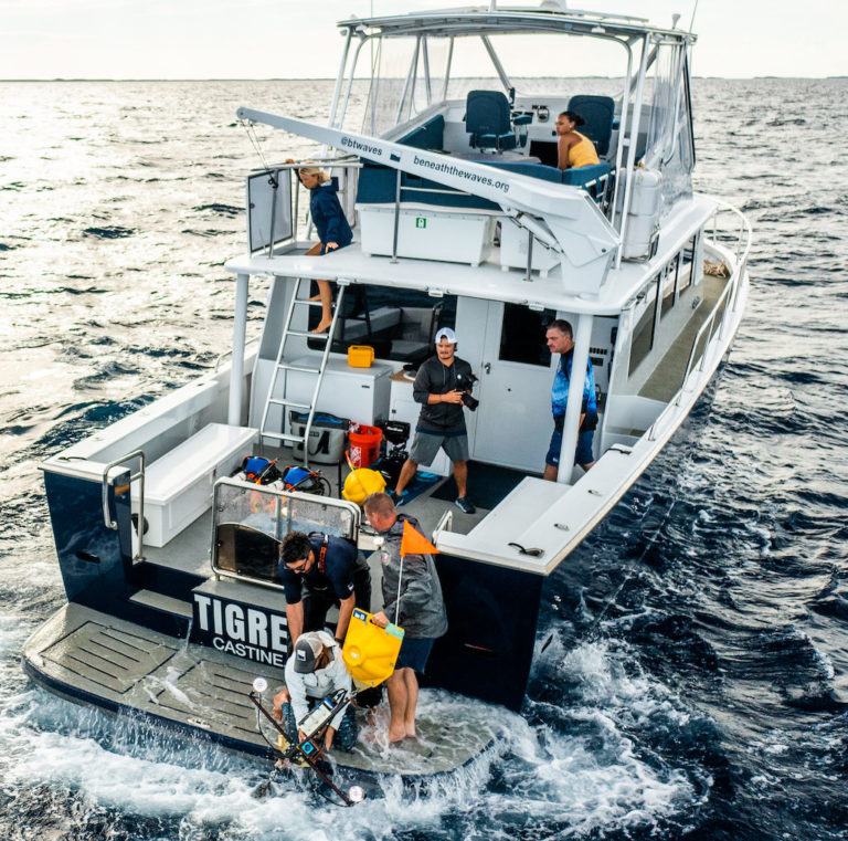 Our Mission: Advance Conservation - Beneath The Waves